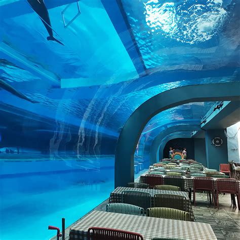 Custom Curved Plexiglass Panels For Aquarium Windows Leyu Acrylic