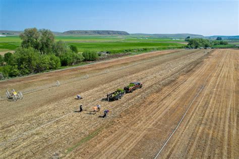 Kristina Ribellia On Linkedin Job Opportunities Cbcd