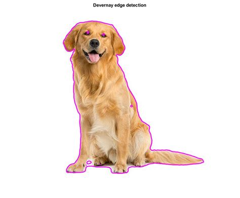 Github Ibrahimovnijat Subpixel Edge Detection Canny Devernay Subpixel Edge Detection In