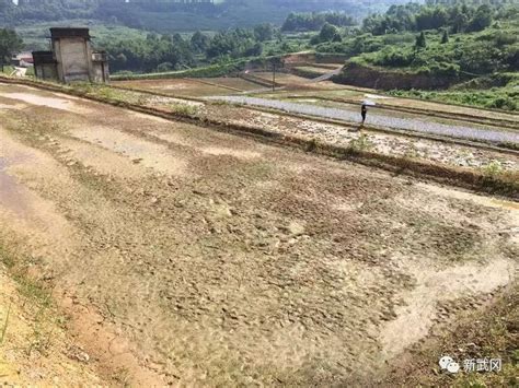 盘活荒废闲置土地 加快新农村建设步伐行业动态自然资源