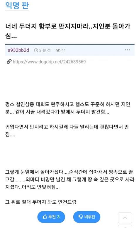 두더지 접촉하면 안되는 이유 인스티즈 Instiz 이슈 카테고리