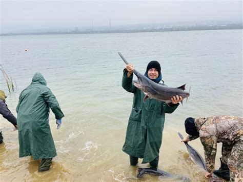 Кметът на Враца Калин Каменов с новина за любителите на риболова снимки