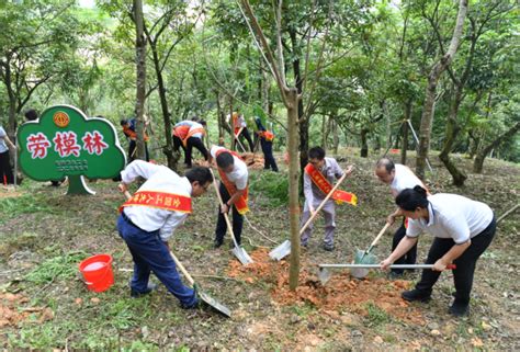 云浮市总工会开展义务植树活动 广东省总工会