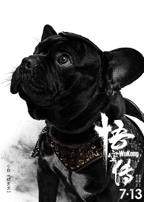 Укун 2017 — Фильмру