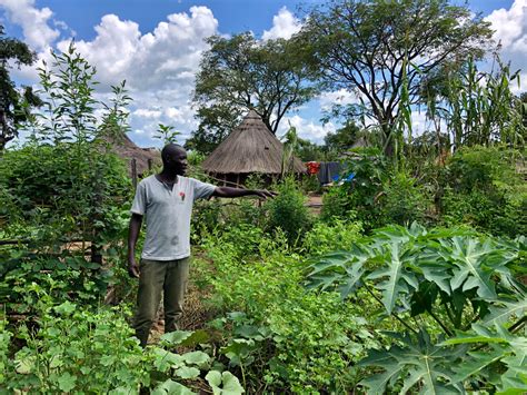 Regenerative Agriculture