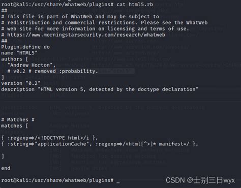 指纹识别工具whatweb使用教程，图文教程（超详细） Csdn博客
