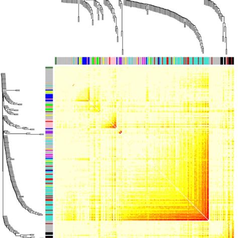 Network Heatmap Plot Representing The Interaction Relationship Analysis