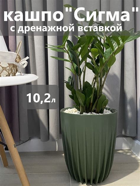 Горшок для цветов большой Сигма 10 2л зеленый купить на Ozon по низкой цене 1735888010