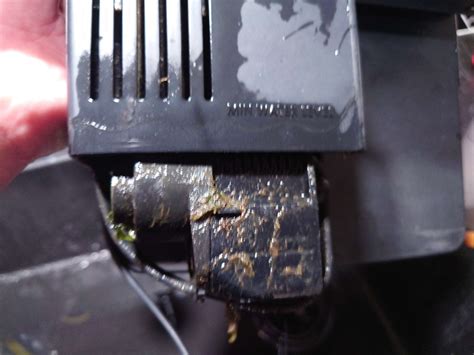 Testing Redux Fixing The Seachem Tidal Bypass Experiments Care