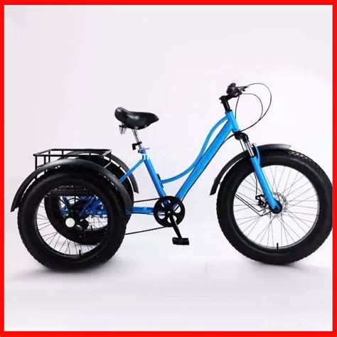 20 24寸新款雪地陸地通用腳蹬電動款變速三輪車菜籃車輕便助力車 老人脚蹬人力 人力三輪車 老人自行車 載貨代步車單人車 蝦皮購物