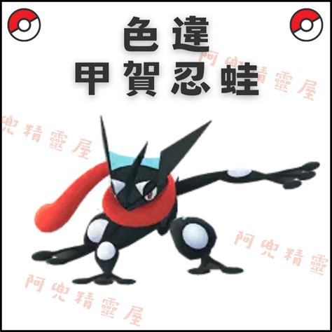 【阿兜精靈屋】色違 甲賀忍蛙 閃光 異色 朱紫 日月 精靈寶可夢 蝦皮購物