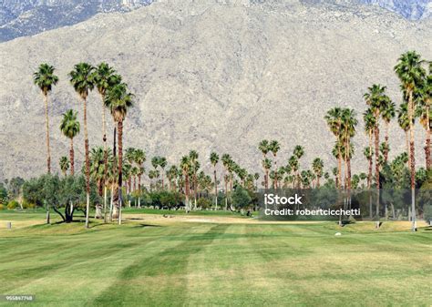 그린 잔디 골프 코스와 산을 배경으로 푸른 하늘과 야자수의 매니큐어 British Open에 대한 스톡 사진 및 기타 이미지 British Open 골프 골프장