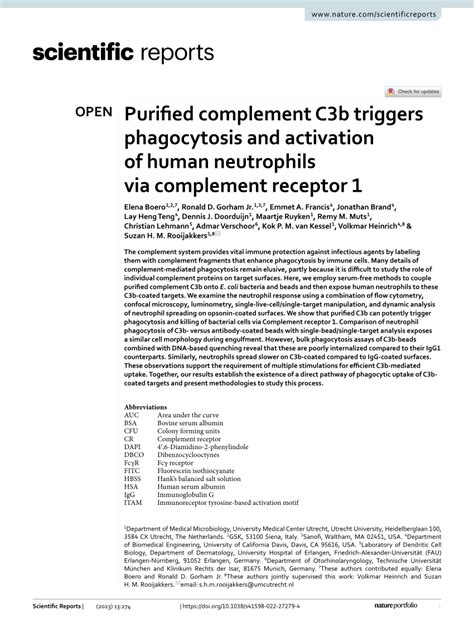 Pdf Purified Complement C3b Triggers Phagocytosis And Activation Of