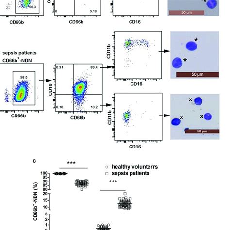 A Flow Cytometry Chart Of Cd66b Cd10 Ldn In Healthy People B