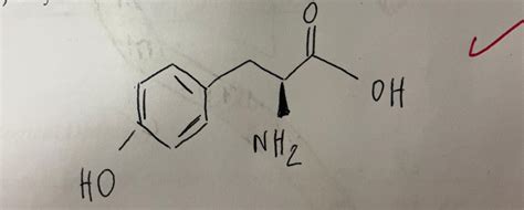 Solved Is This Molecule An Amino Acid Steroid Derivative