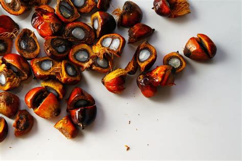 Simultaneous Delignification And Furfural Production Of Palm Oil Empty