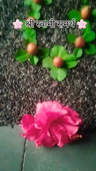 अशक्य ही शक्य करतील स्वामी 🙇🏻‍♂️🌸🙏🏻 भिऊ नकोस मी आहे तुझ्या पाठीशी 🙌