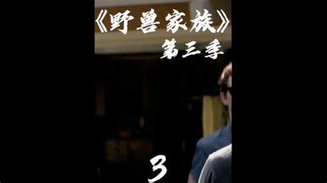 《野兽家族》外地混混敢惹野兽家族 结果惨了腾讯新闻