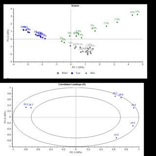 Scores A And Correlation Loadings B Showing The Relationship