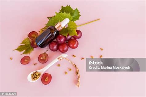유기농 포도 기름 또는 포도 씨앗 기반 얼굴 세럼으로 어두운 유리로 만든 화장품 유리 병의 상단보기 텍스트를위한 공간 건강관리와
