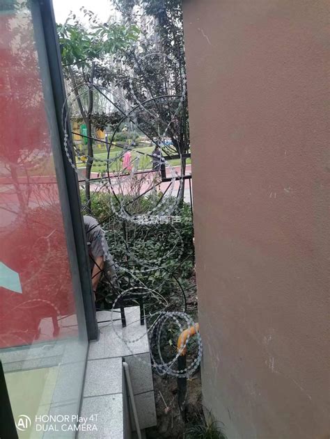 侵占小区公共绿化区域，违章搭建玻璃房用于私用 群众呼声 四川网络问政理政平台 双流区委书记