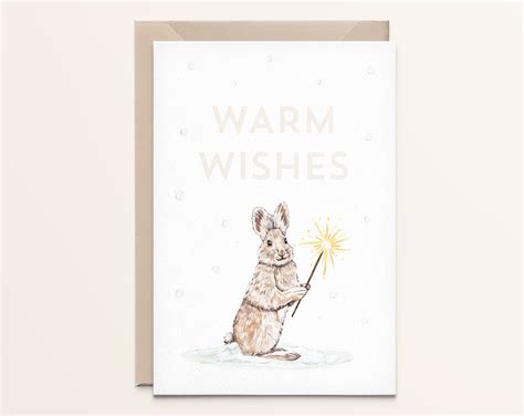 Snow Hare Sneeuwhaas Kathings