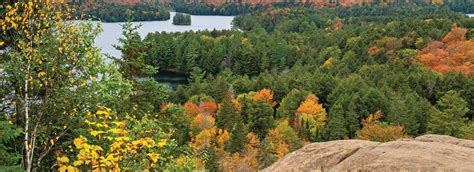 Track And Tower Hiking Trails In Algonquin Park Algonquin Park