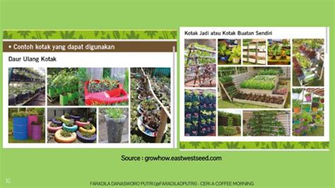 Cara Mudah Memulai Menanam Sayur Di Rumah