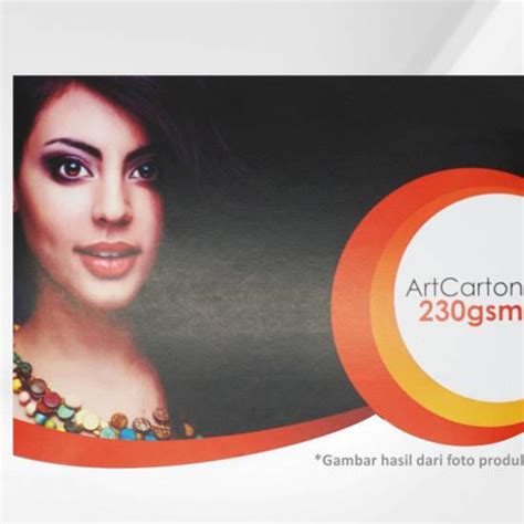 Art Carton 230 Gsm A3 Plus 32 X 48 Cm