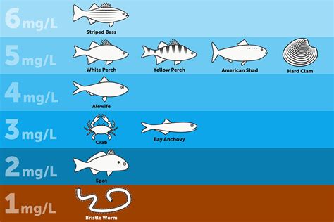 What Is The Relationship Between Dissolved Oxygen And Salinity Atlas