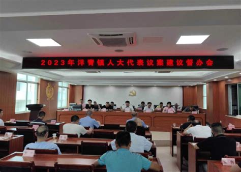 洋青镇人大召开人大代表议案建议督办会 遂溪县人民政府公众网站