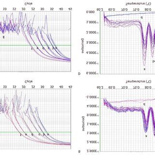 Sensitivity And Correlation Of Two Tube Multiplex Real Time PCR Test