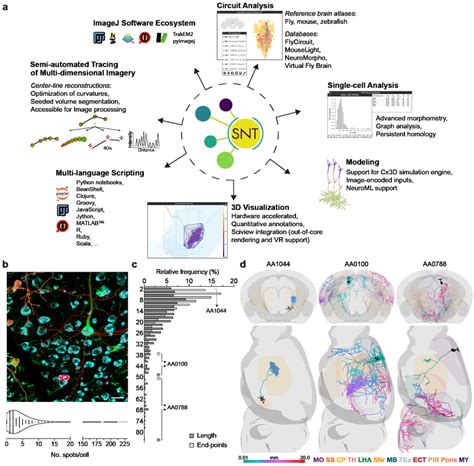 Snt As An End To End Platform For Data Retrieval Visualization Download Scientific Diagram