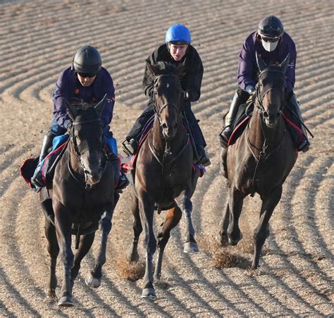 3頭併せで追い切るヘデントール（中）（撮影・郡司修） スポニチ Sponichi Annex ギャンブル