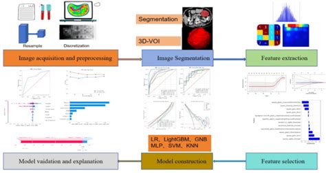Interpretable Machine Learning Model Based On Ct Semantic Features And Radiomics Features To