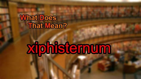 What Does Xiphisternum Mean Youtube
