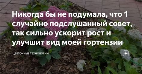 Никогда бы не подумала что 1 случайно подслушанный совет так сильно