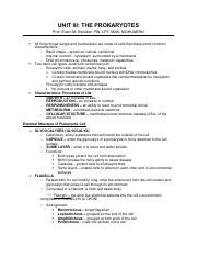 Understanding Prokaryotic Cells Structure And Characteristics Course