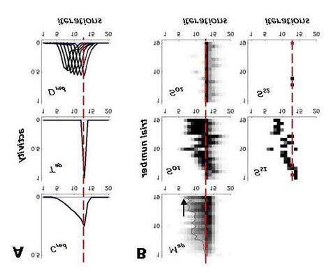 neural activation patterns over a single learning experiment total of