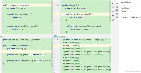 Java的面向对象编程（oop）——继承概述及使用《java面向对象编程》 Csdn博客
