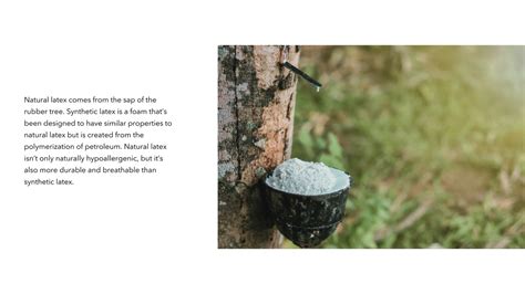 Natural Latex Ashley Yeates