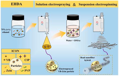 A Schematic Diagram Of The Fabrication For Bead On String Nanofibers