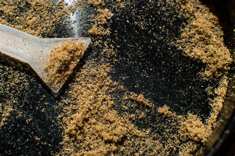 How To Make Hash Dry Sift Charas And Bubble Hash Sensi Seeds
