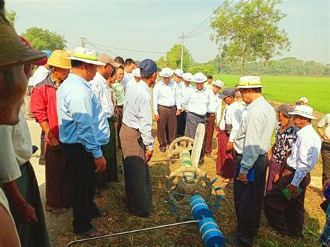 ရန်ကုန်တိုင်းဒေသကြီး ဝန်ကြီးချုပ် ဦးစိုးသိန်း နွေစပါးစိုက်ပျိုးဖြစ်ထွန