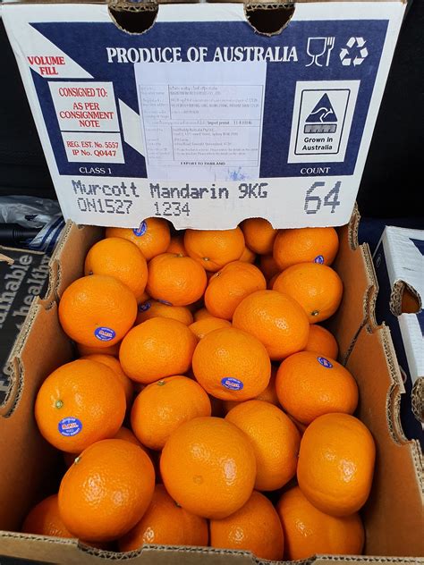 ฮันนี่เมอร์คอตแท้ 2ph ผลไม้ไทย ผลไม้นอกหากินยาก