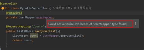 Idea 关于SpringBoot的 AutoWired 注入问题 无法自动装配Could not autowire No beans of UserMapper type found