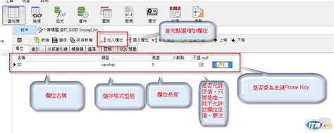 Mysql Navicat For Mysql It