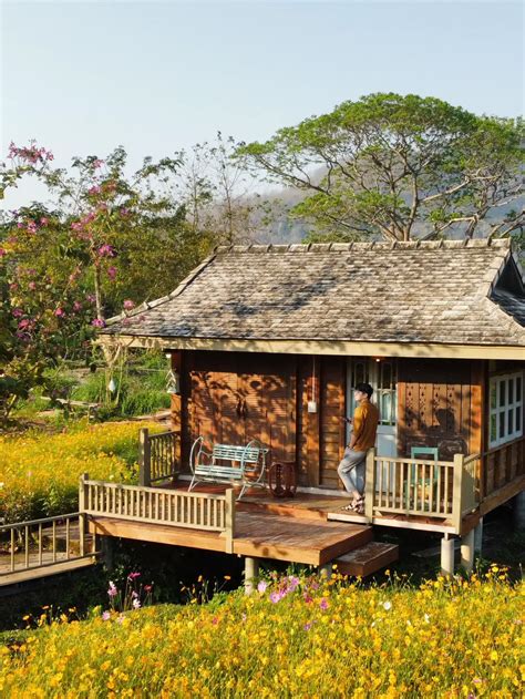 นอนกลางทุ่งดอกไม้🌼 หลองข้าวสะเมิง ⛰️ แกลเลอรีที่โพสต์โดย Pomvo Lemon8