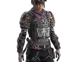 R6skin Ram