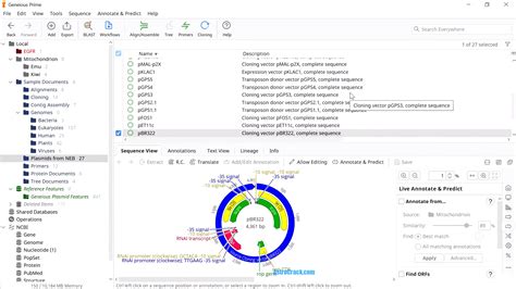 Geneious Prime Crack 2024 0 Astrocrack